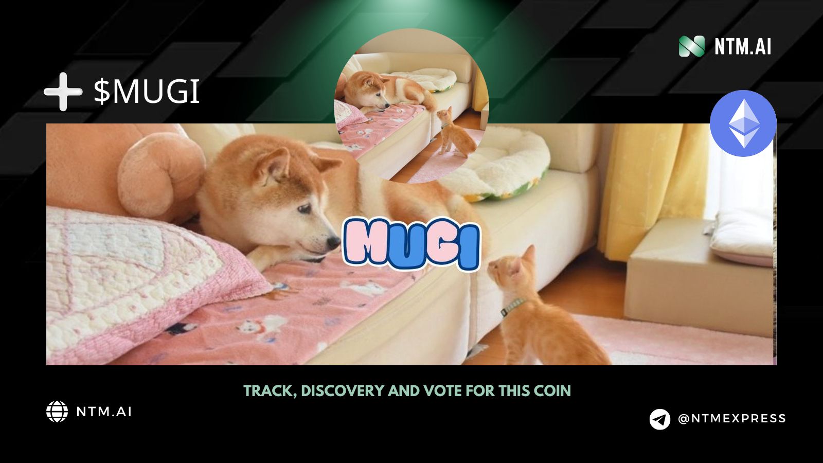 Mugi (MUGI) | NTM.ai