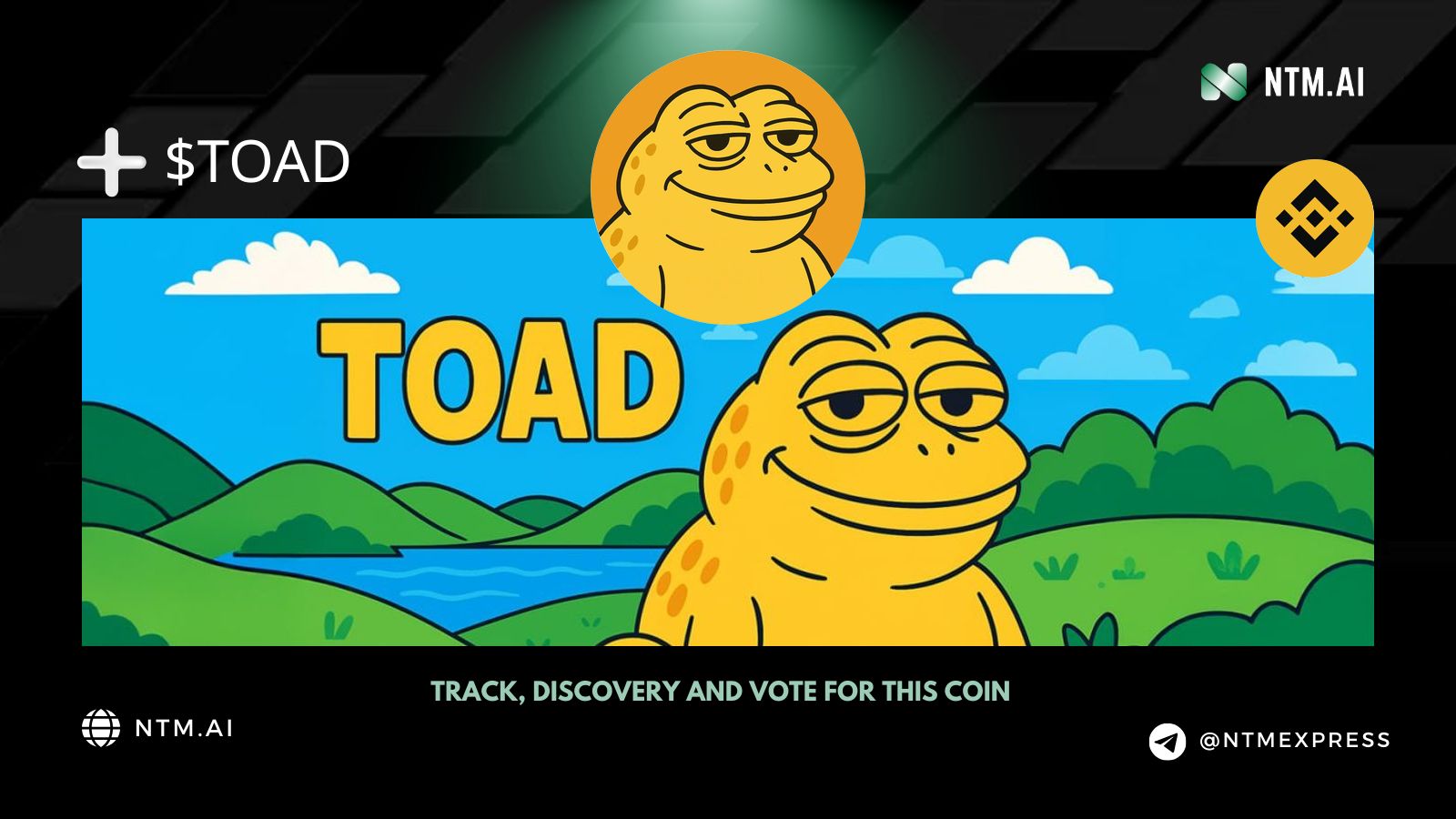 TOAD (TOAD) | NTM.ai