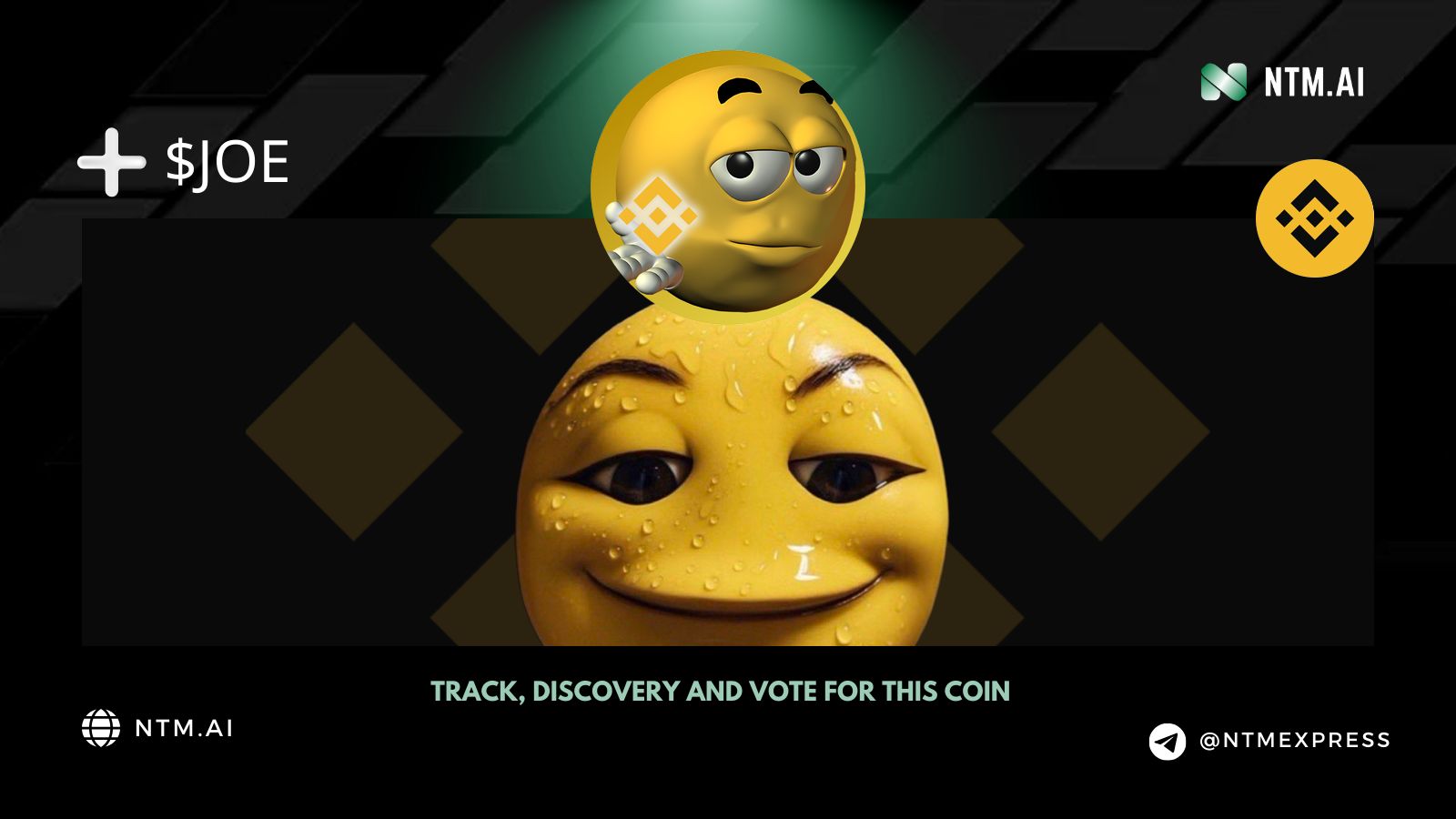 Joe Coin (JOE) | NTM.ai