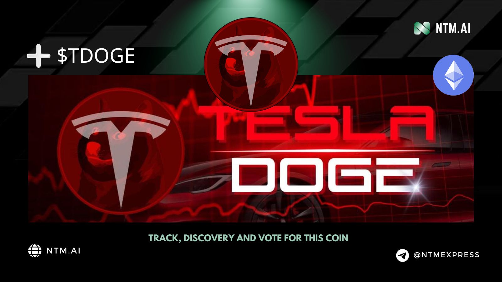 Tesla Doge (TDOGE) | NTM.ai