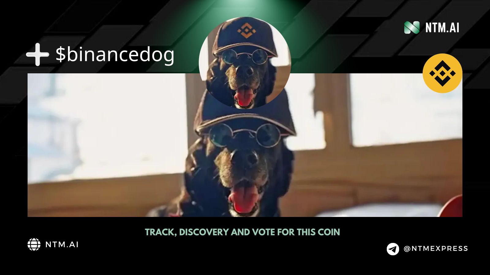 binancedog (binancedog) | NTM.ai