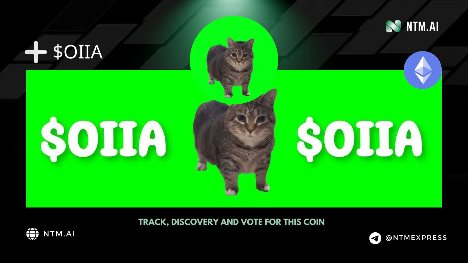 Oiia (OIIA) | NTM.ai