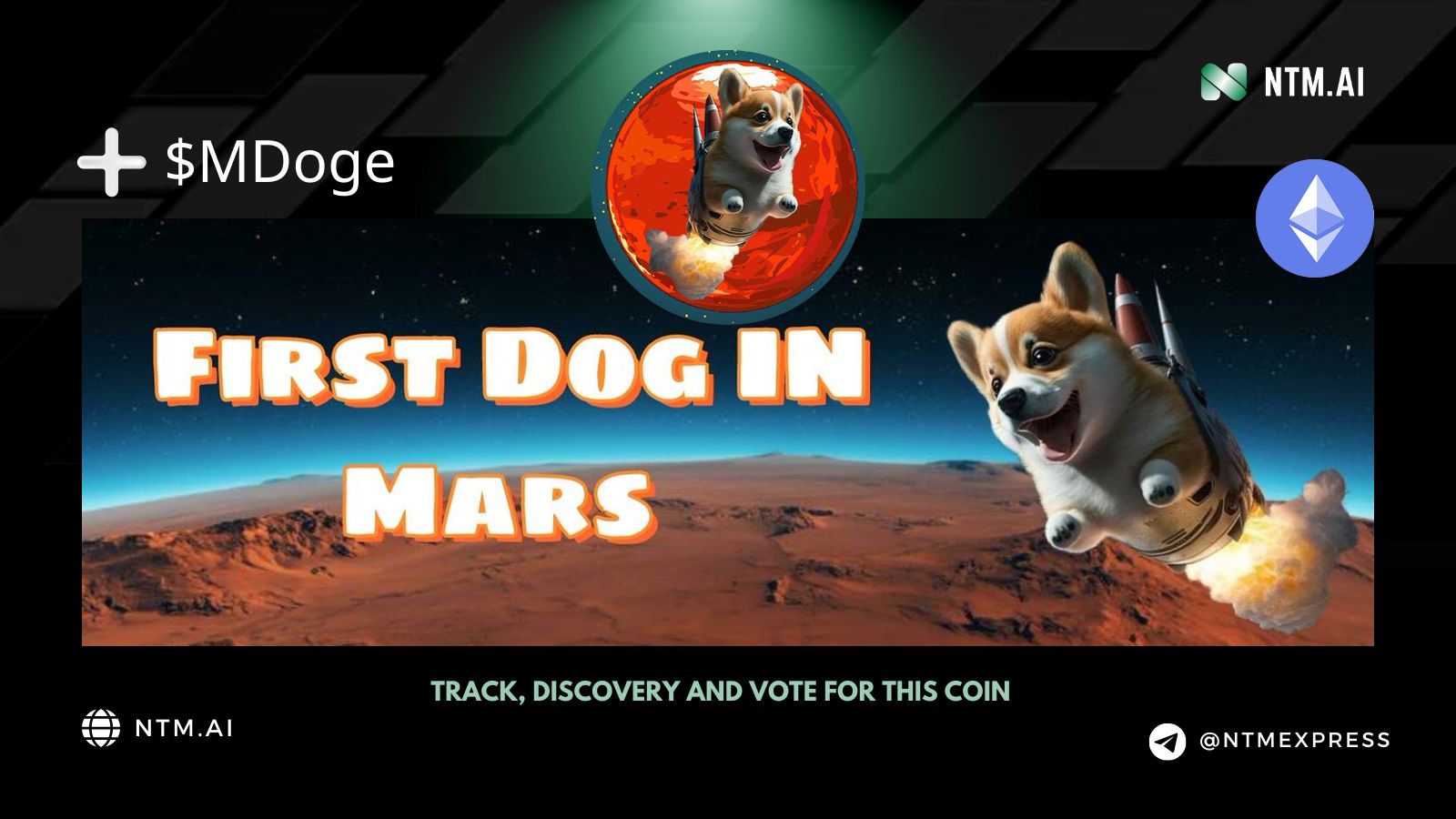 First Dog In Mars (MDoge) | NTM.ai