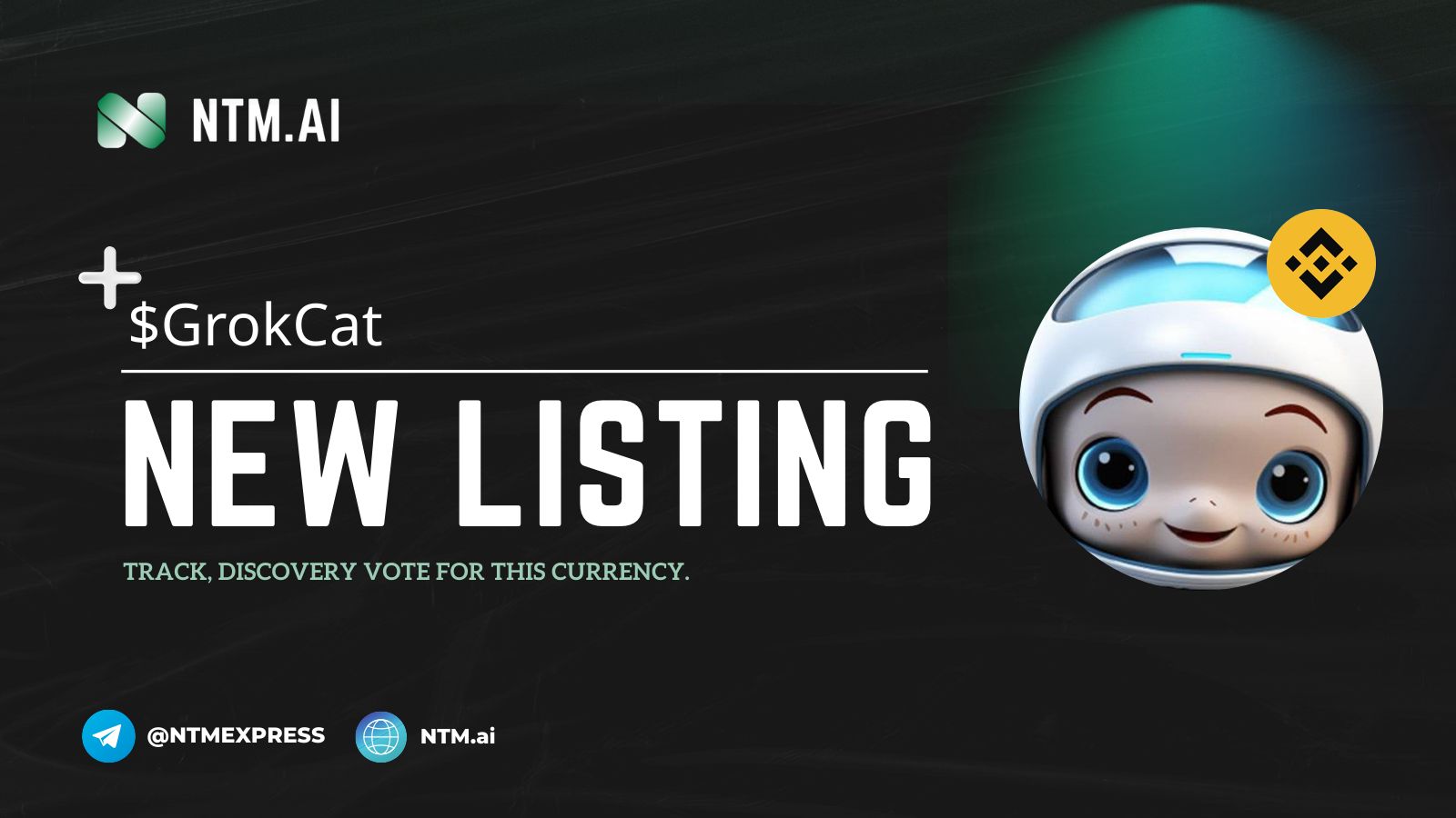 Grok Cat (GrokCat) | NTM.ai