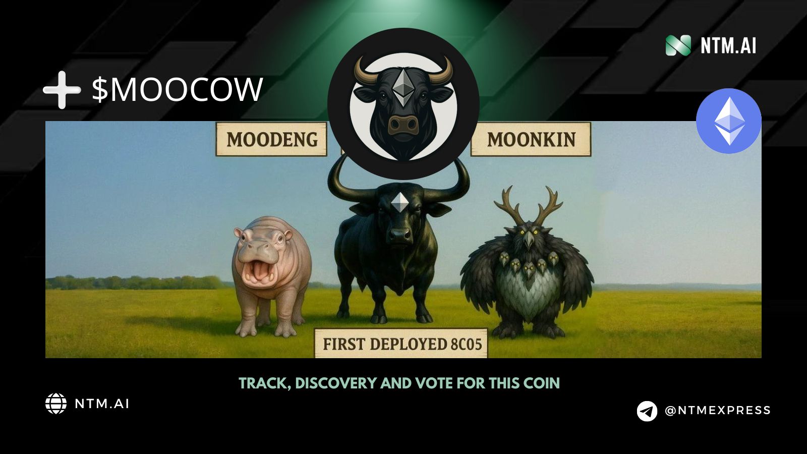 Moo Cow (MOOCOW) | NTM.ai