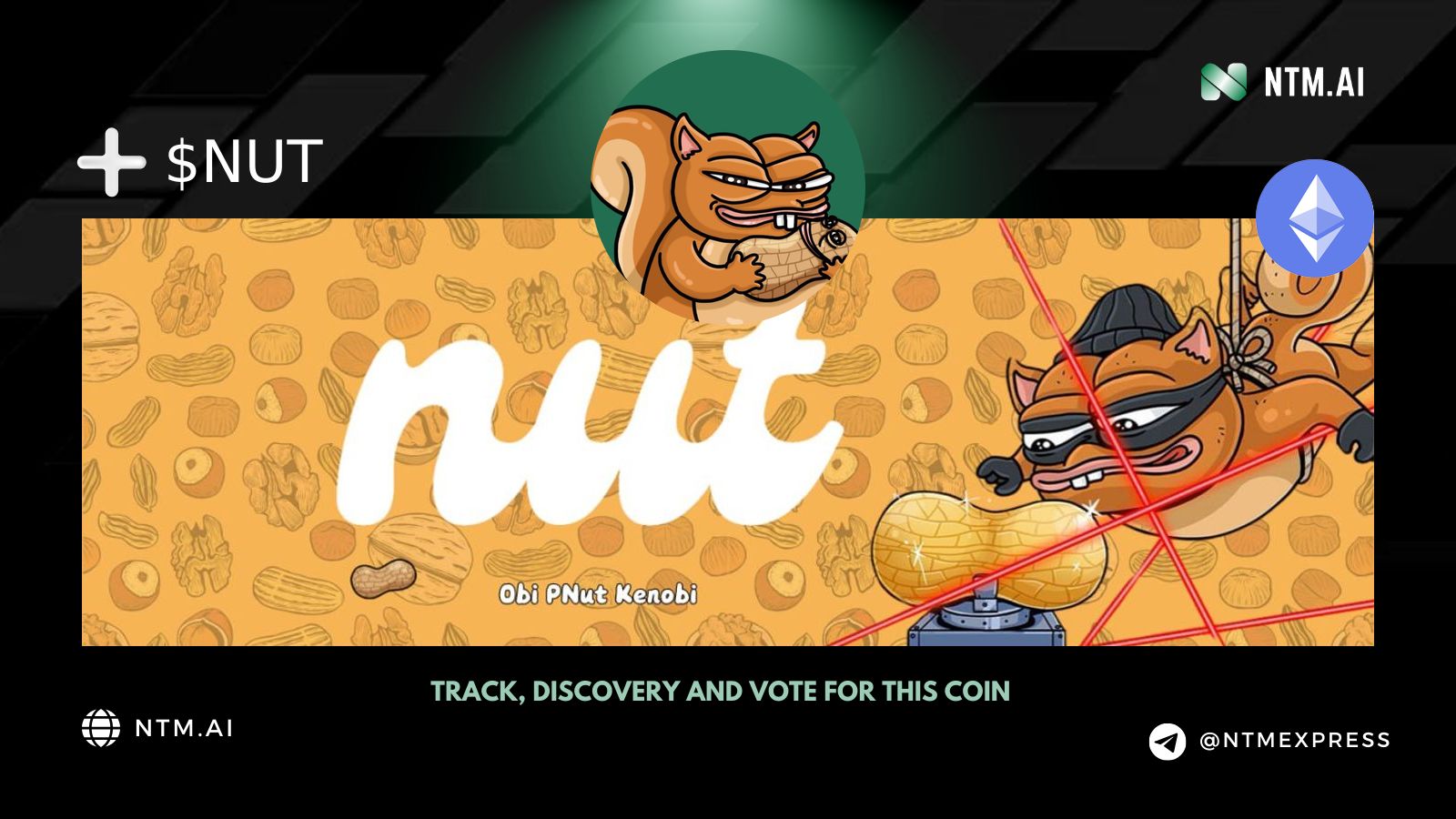 nut (NUT) | NTM.ai