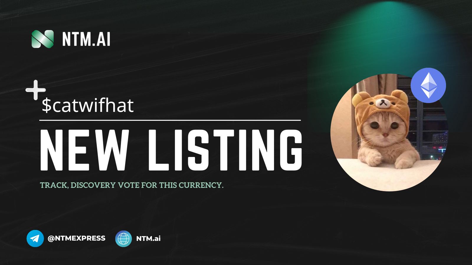 catwifhat (catwifhat) | NTM.ai