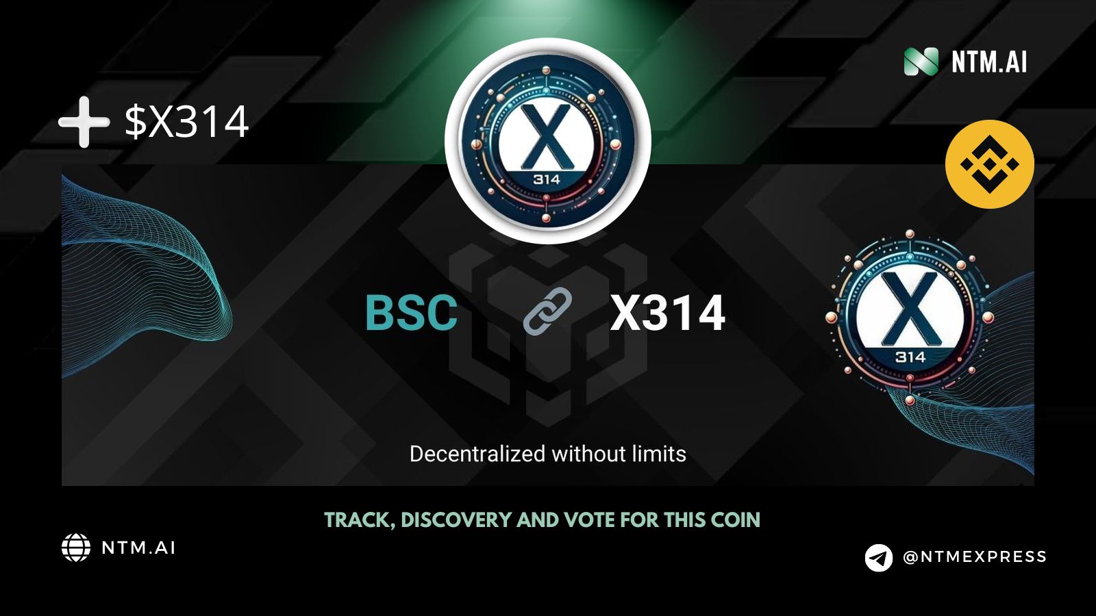 X314 (X314) | NTM.ai