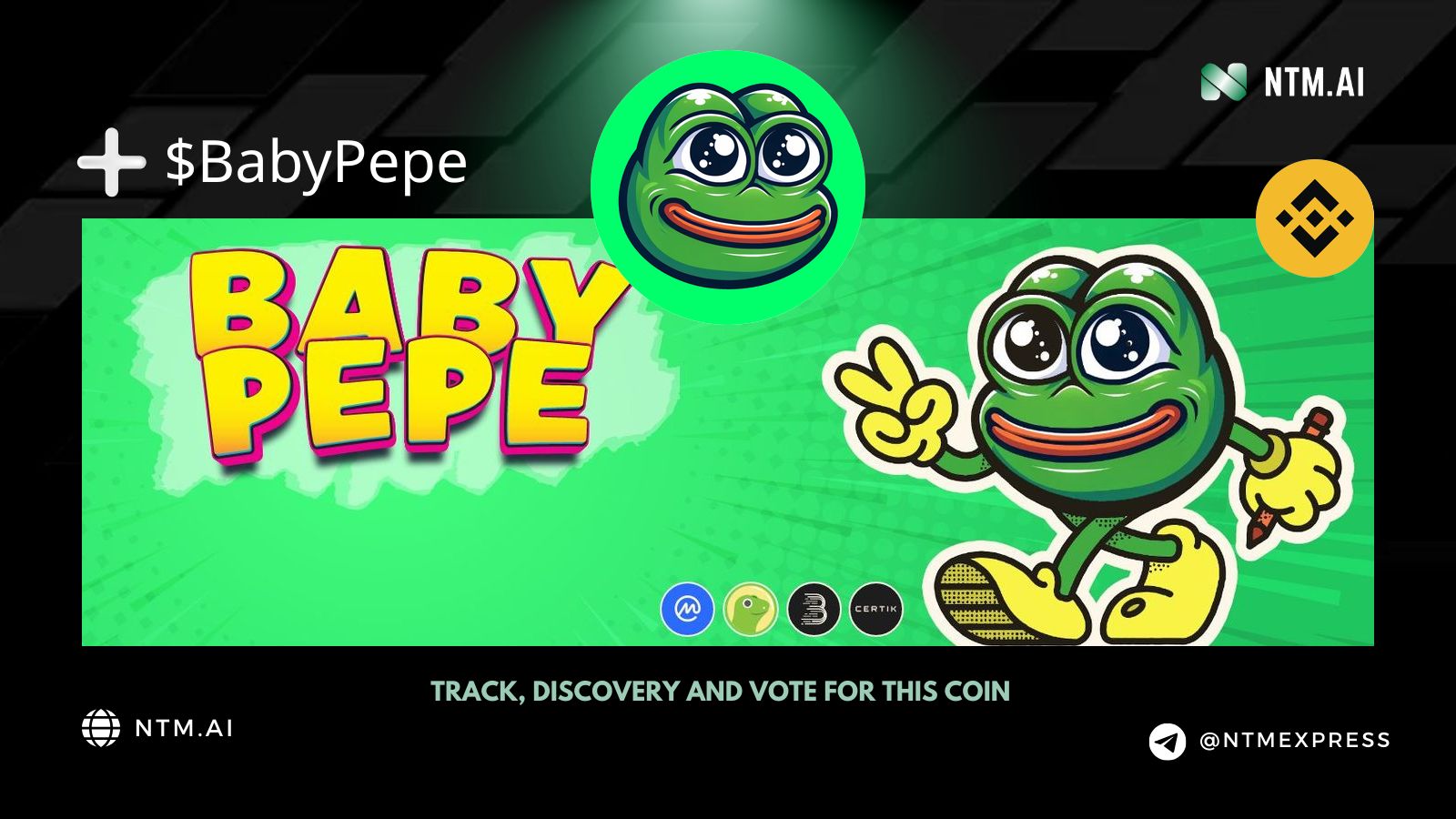 Baby Pepe (BabyPepe) | NTM.ai
