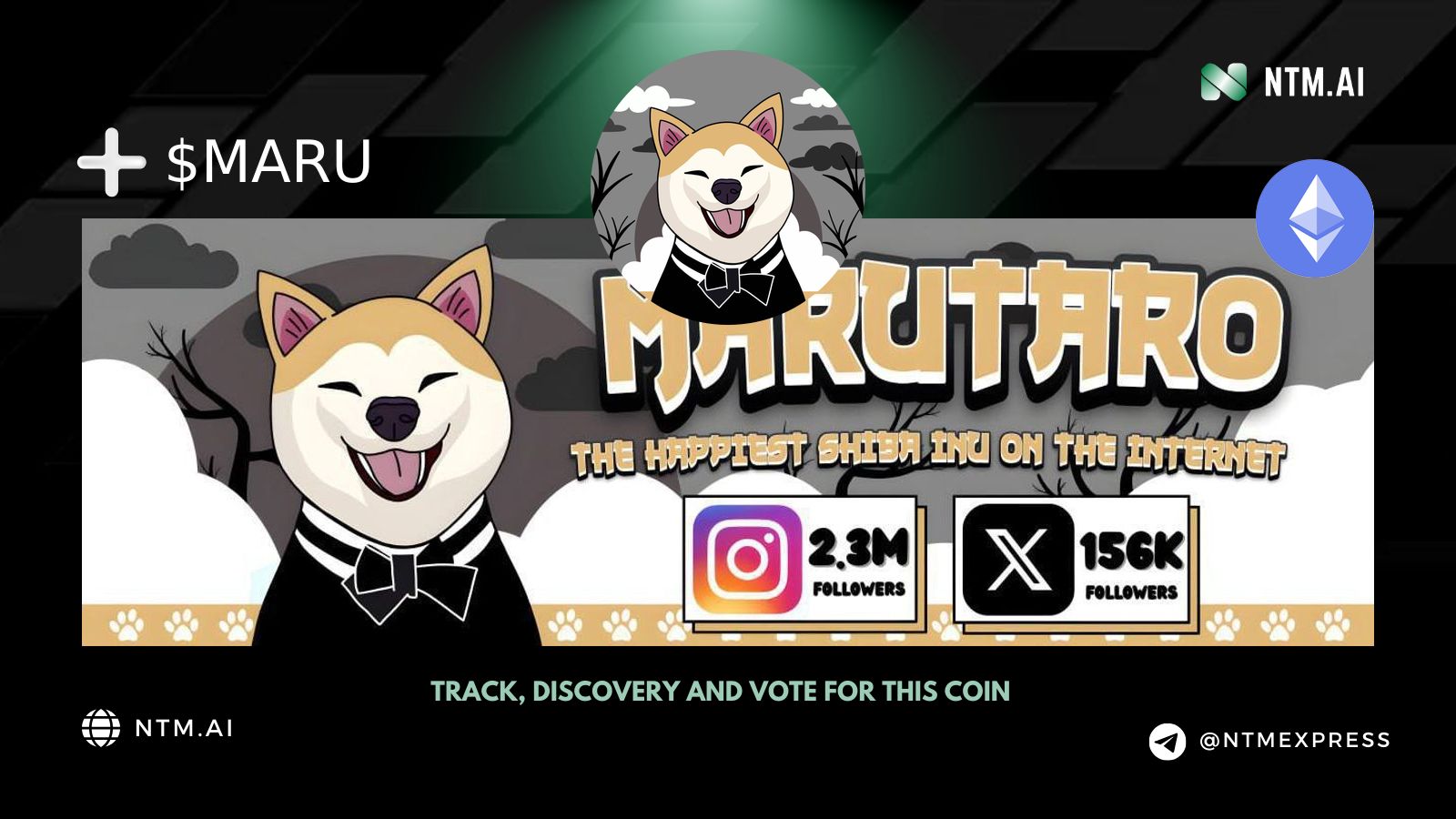 Marutaro (MARU) | NTM.ai