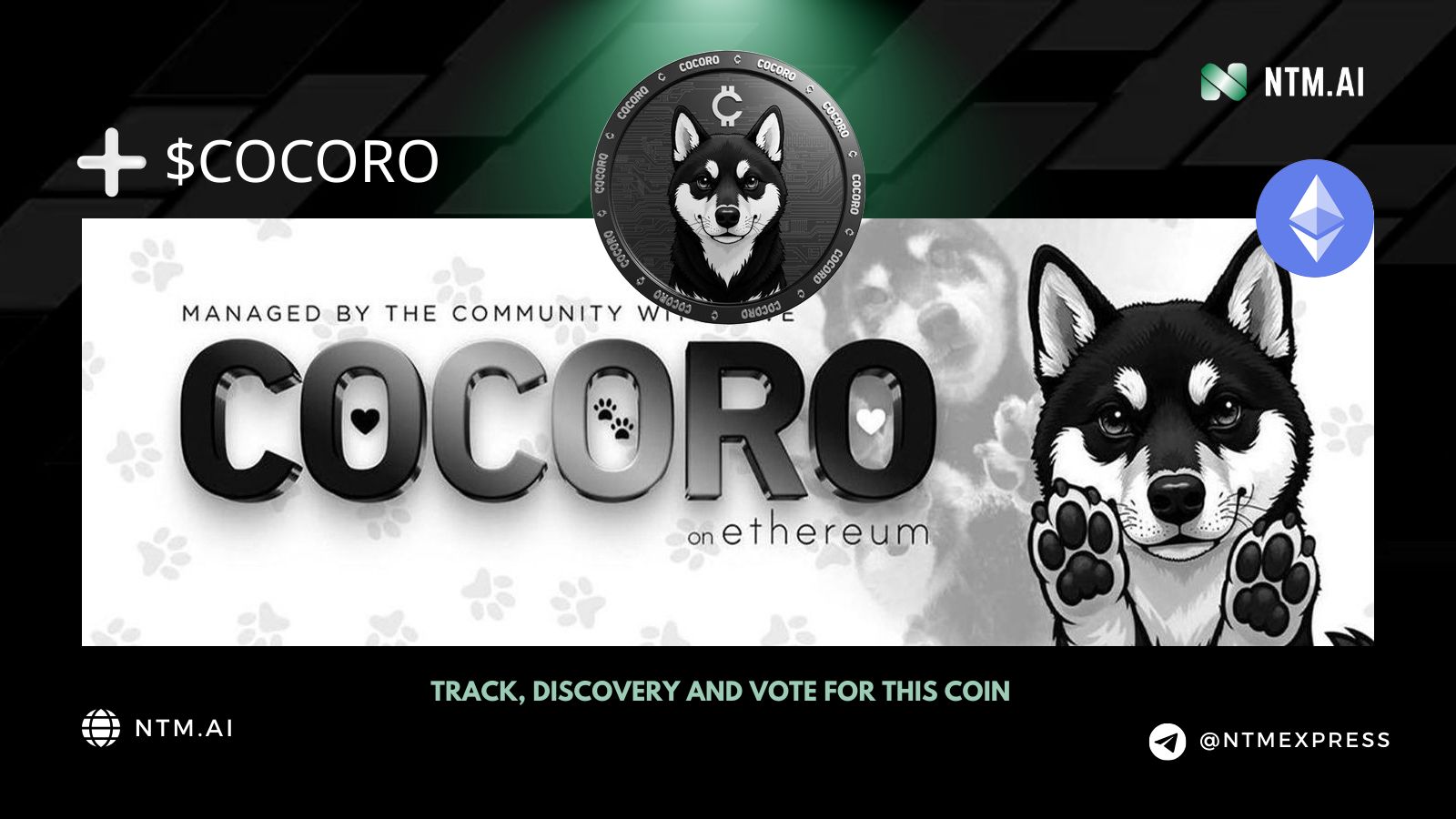 COCORO (COCORO) | NTM.ai