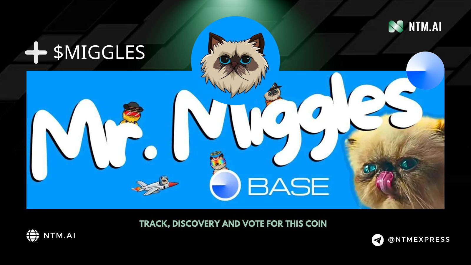 Mr. Miggles (MIGGLES) | NTM.ai