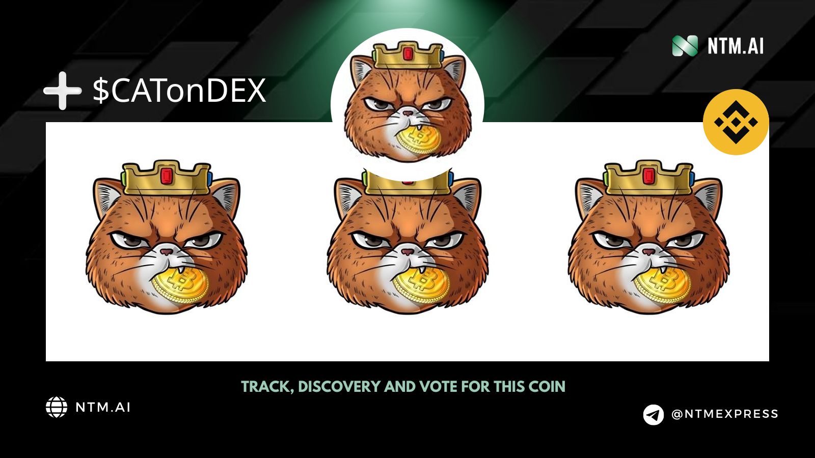 CAT COIN DEX (CATonDEX) | NTM.ai
