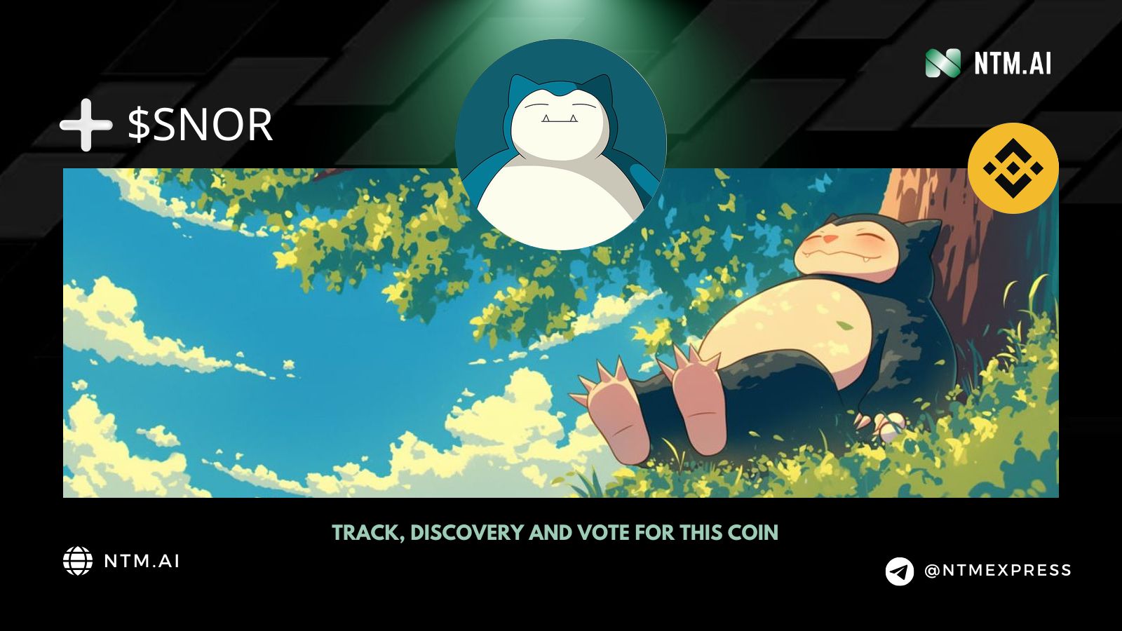 SNOR (SNOR) | NTM.ai