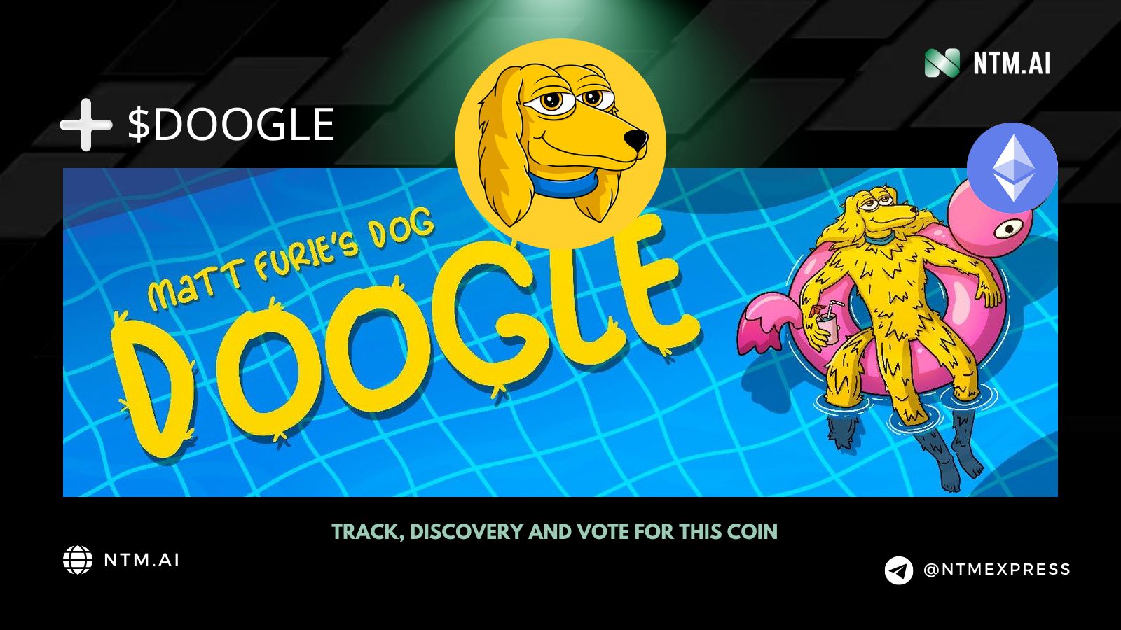Doogle (DOOGLE) | NTM.ai