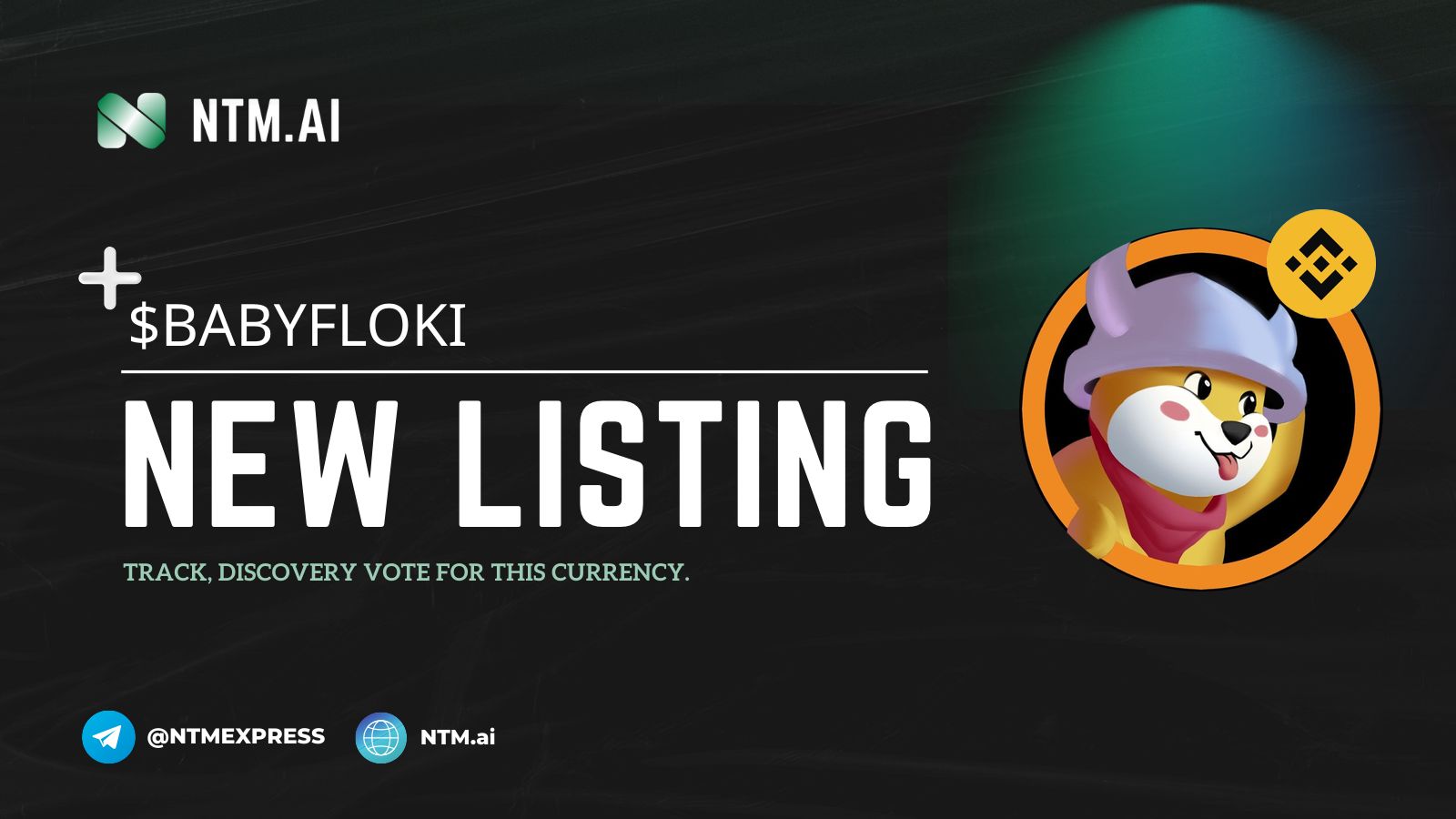 BabyFloki (BABYFLOKI) | NTM.ai
