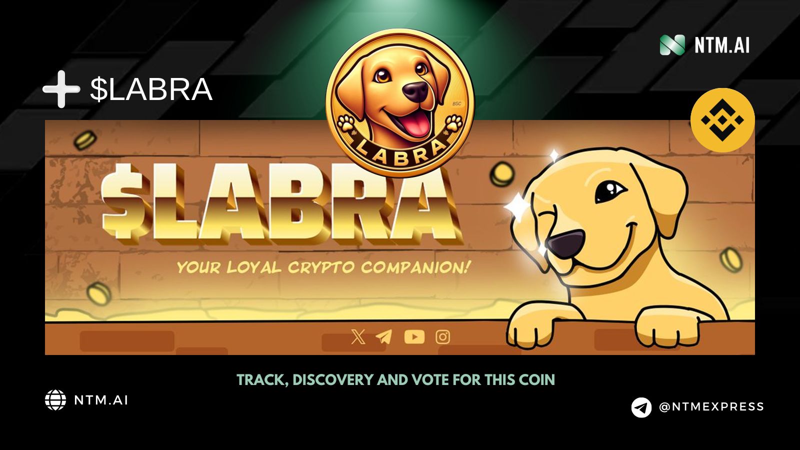 Labrador (LABRA) | NTM.ai