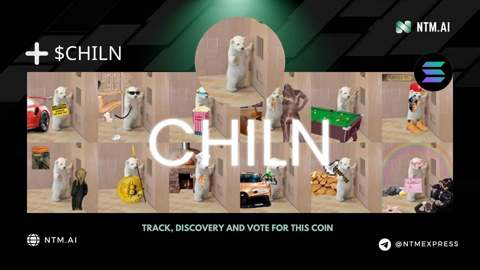 Calm Bear (CHILN) | NTM.ai