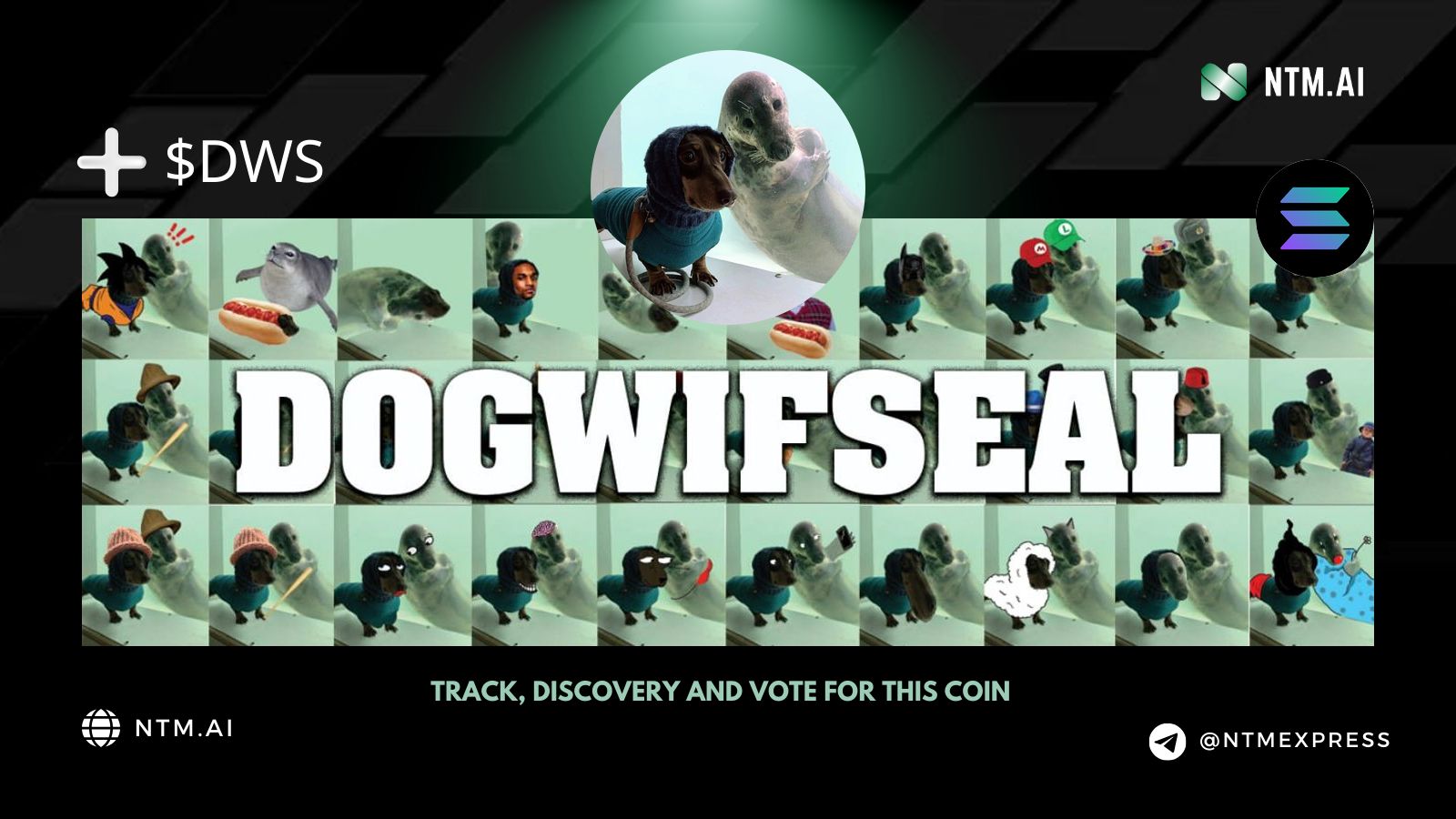 dogwifseal (DWS) | NTM.ai