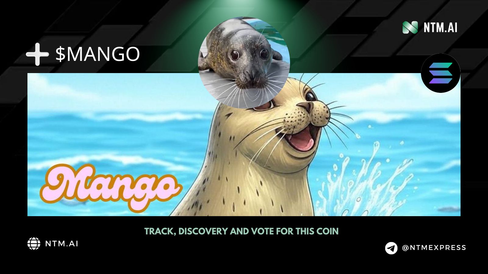 MANGO THE SEAL (MANGO) | NTM.ai