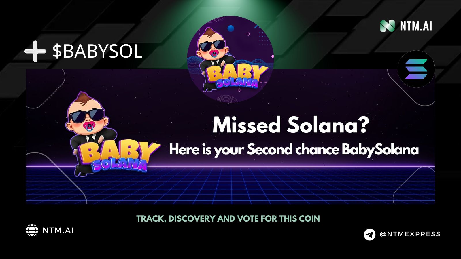 Baby Solana (BABYSOL) | NTM.ai