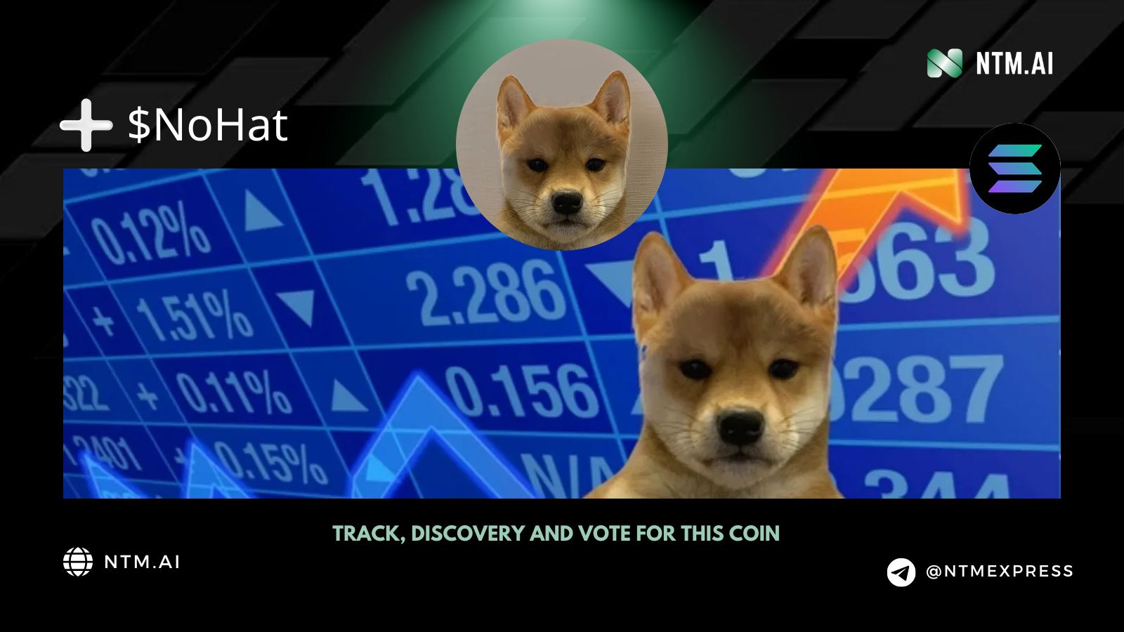 DogWifNoHat (NoHat) | NTM.ai