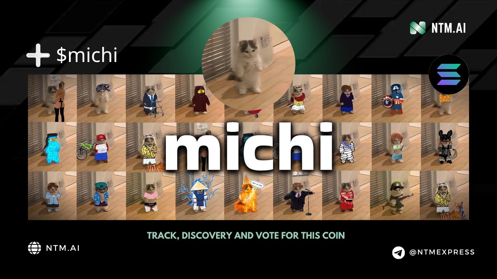 michi ($michi) | NTM.ai