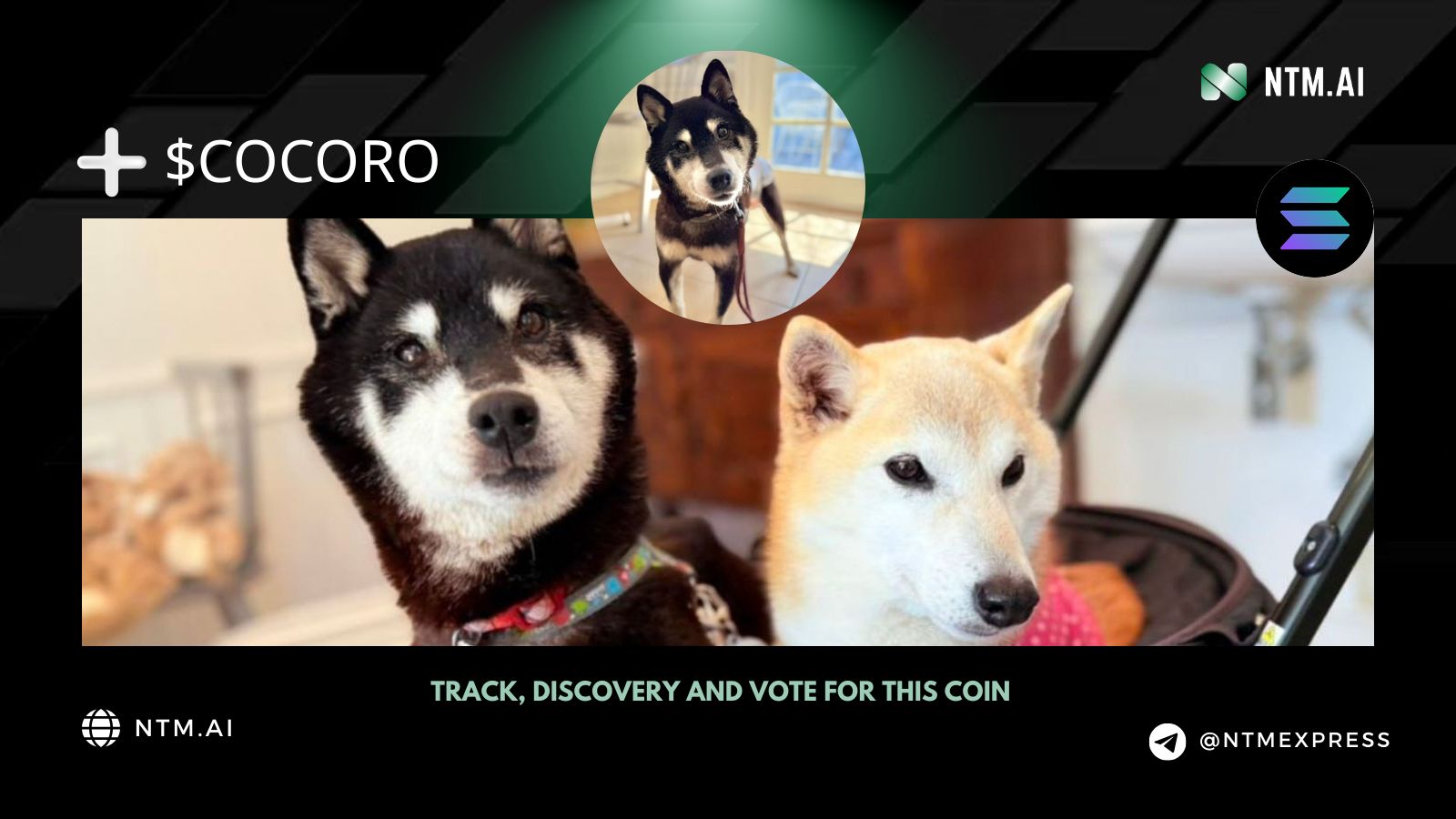 COCORO (COCORO) | NTM.ai