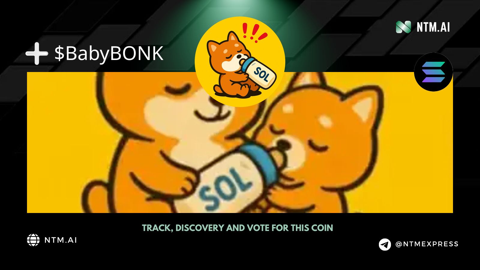 Let's Baby BONK (BabyBONK) | NTM.ai