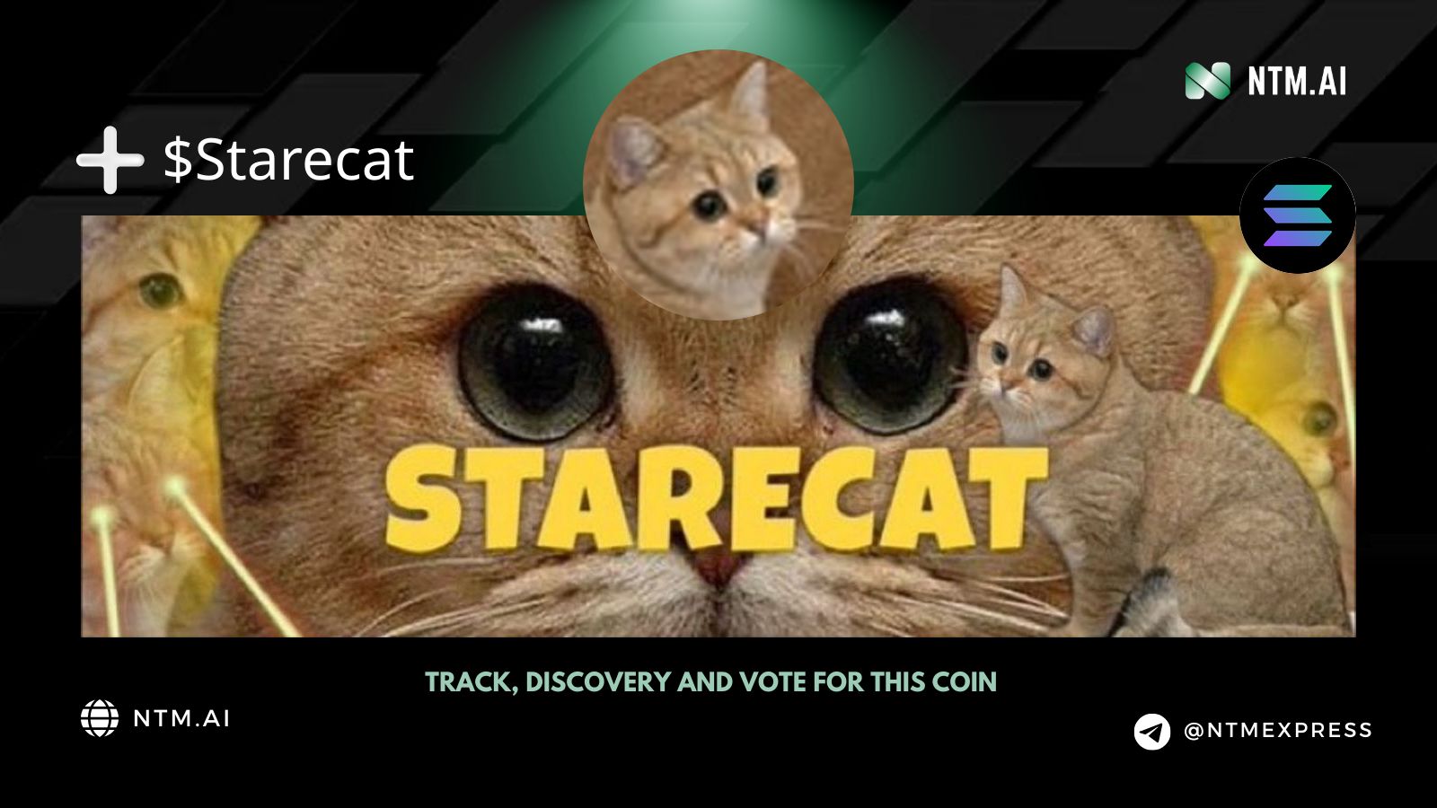 Starecat (Starecat) | NTM.ai