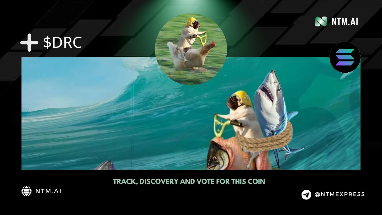 Dog Riding Chicken (DRC) | NTM.ai