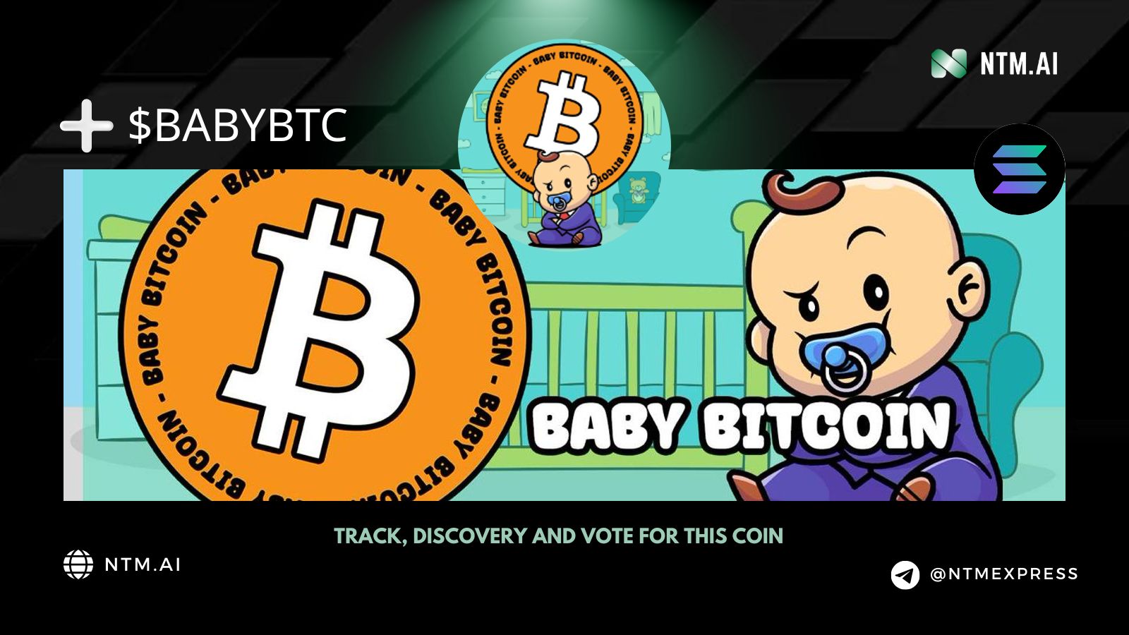 Baby BitCoin (BABYBTC) | NTM.ai