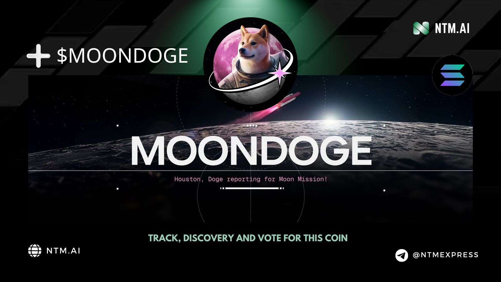 MOONDOGE (MOONDOGE) | NTM.ai