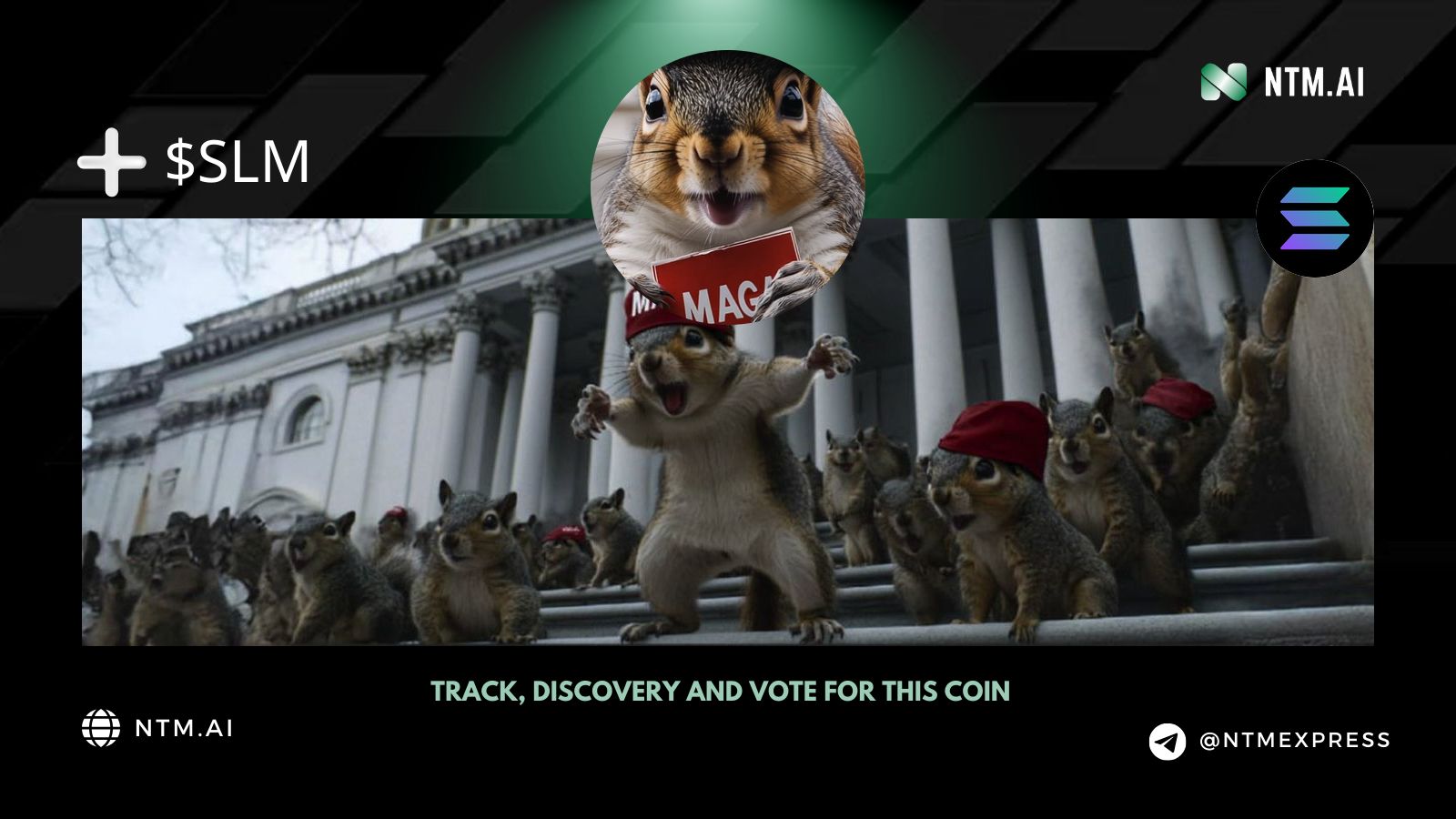 MAGA Squirrels (SLM) | NTM.ai