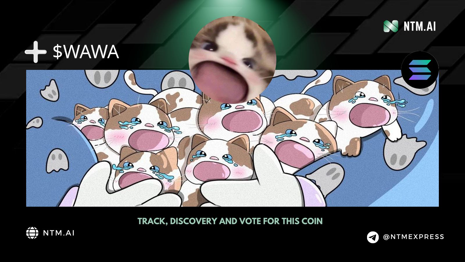 WAWA CAT (WAWA) | NTM.ai