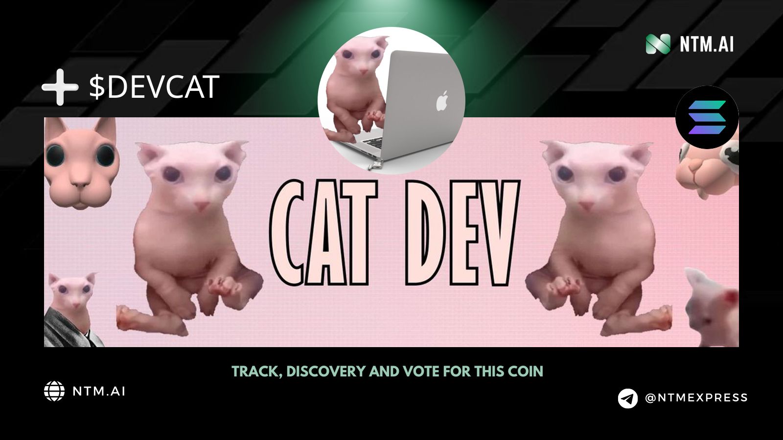 MY CAT IS DEV (DEVCAT) | NTM.ai