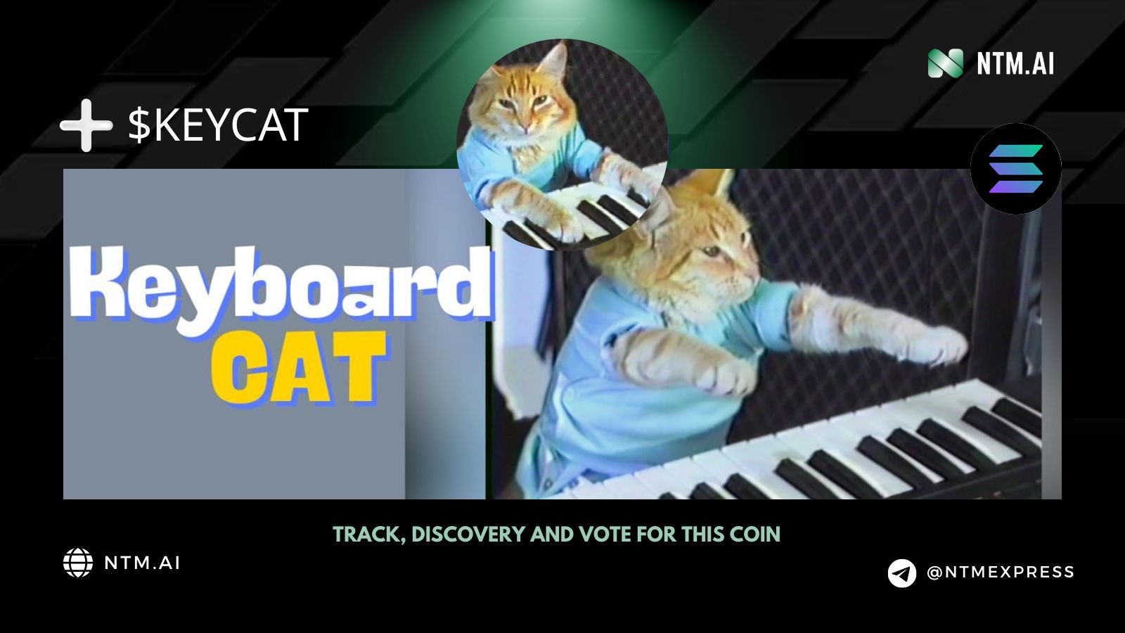 Keyboard Cat (KEYCAT) | NTM.ai