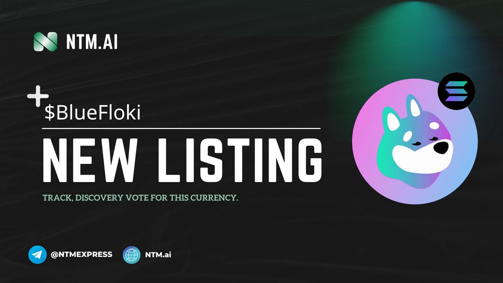 Blue Floki (BlueFloki) | NTM.ai