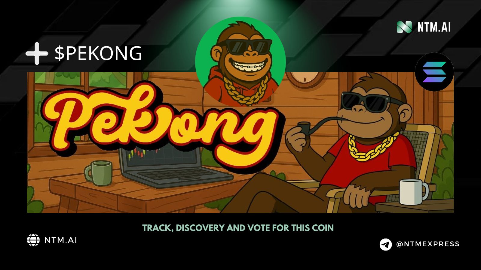 PEKONG (PEKONG) | NTM.ai