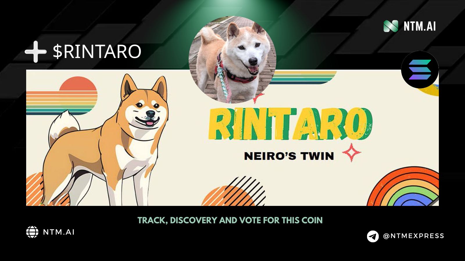 Rintaro (RINTARO) | NTM.ai