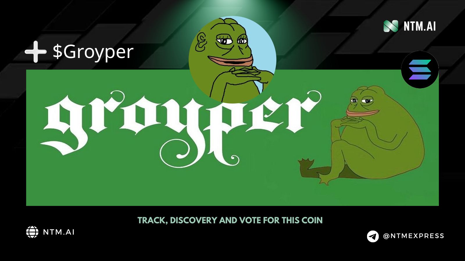 Groyper (Groyper) | NTM.ai