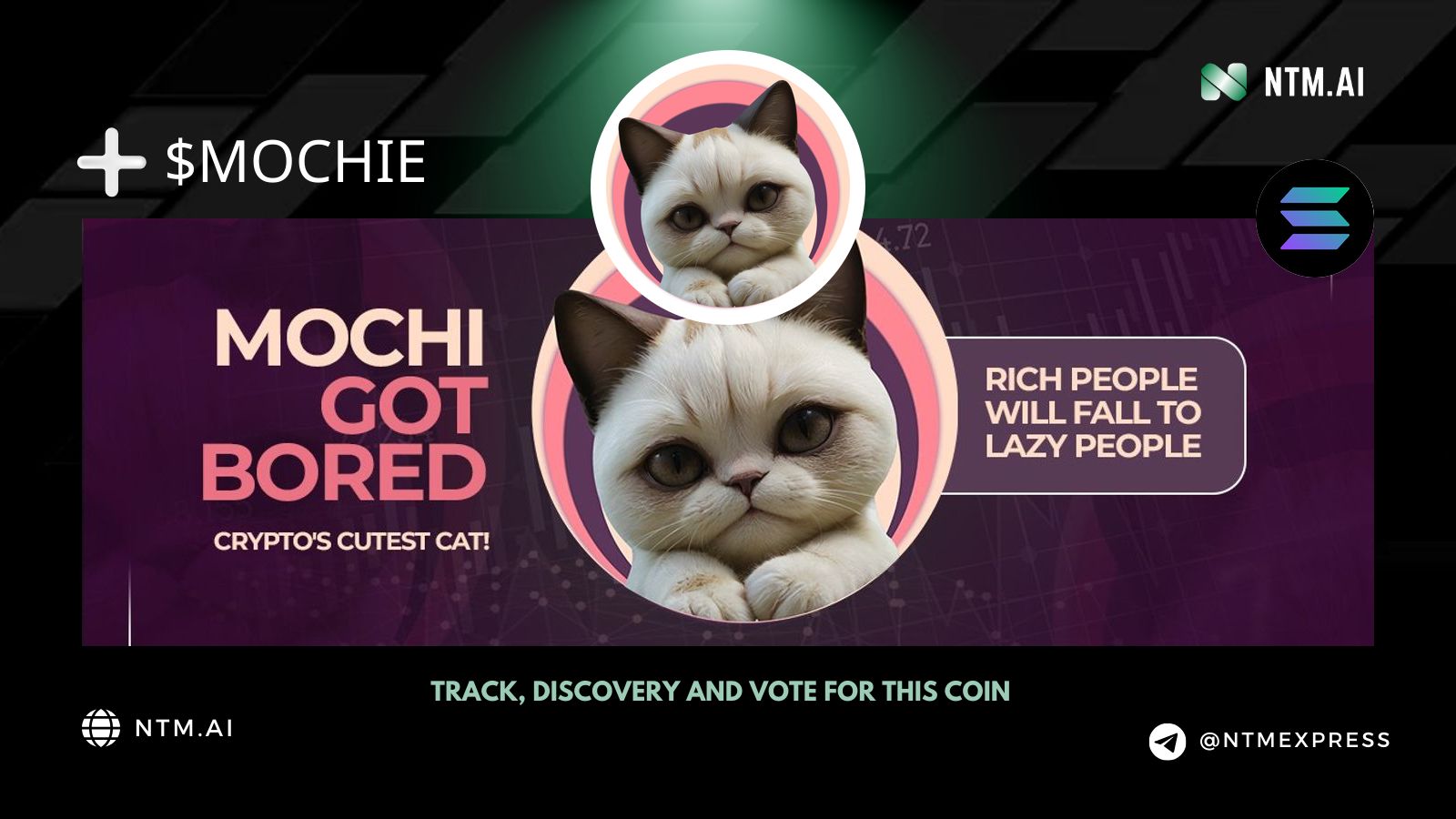 Mochie Got Bored (MOCHIE) | NTM.ai