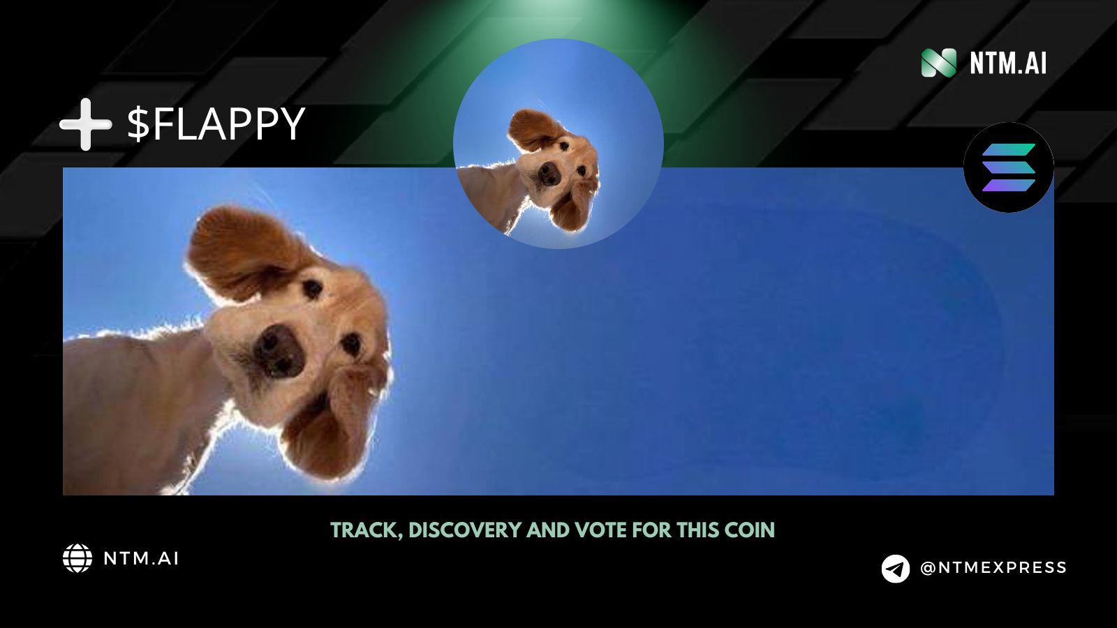 FLAPPY (FLAPPY) | NTM.ai