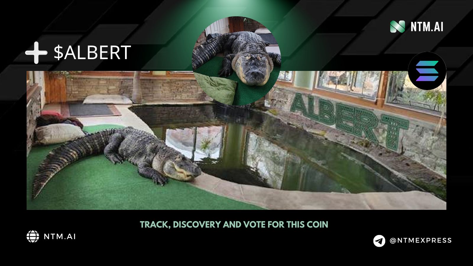 ALBERT (ALBERT) | NTM.ai