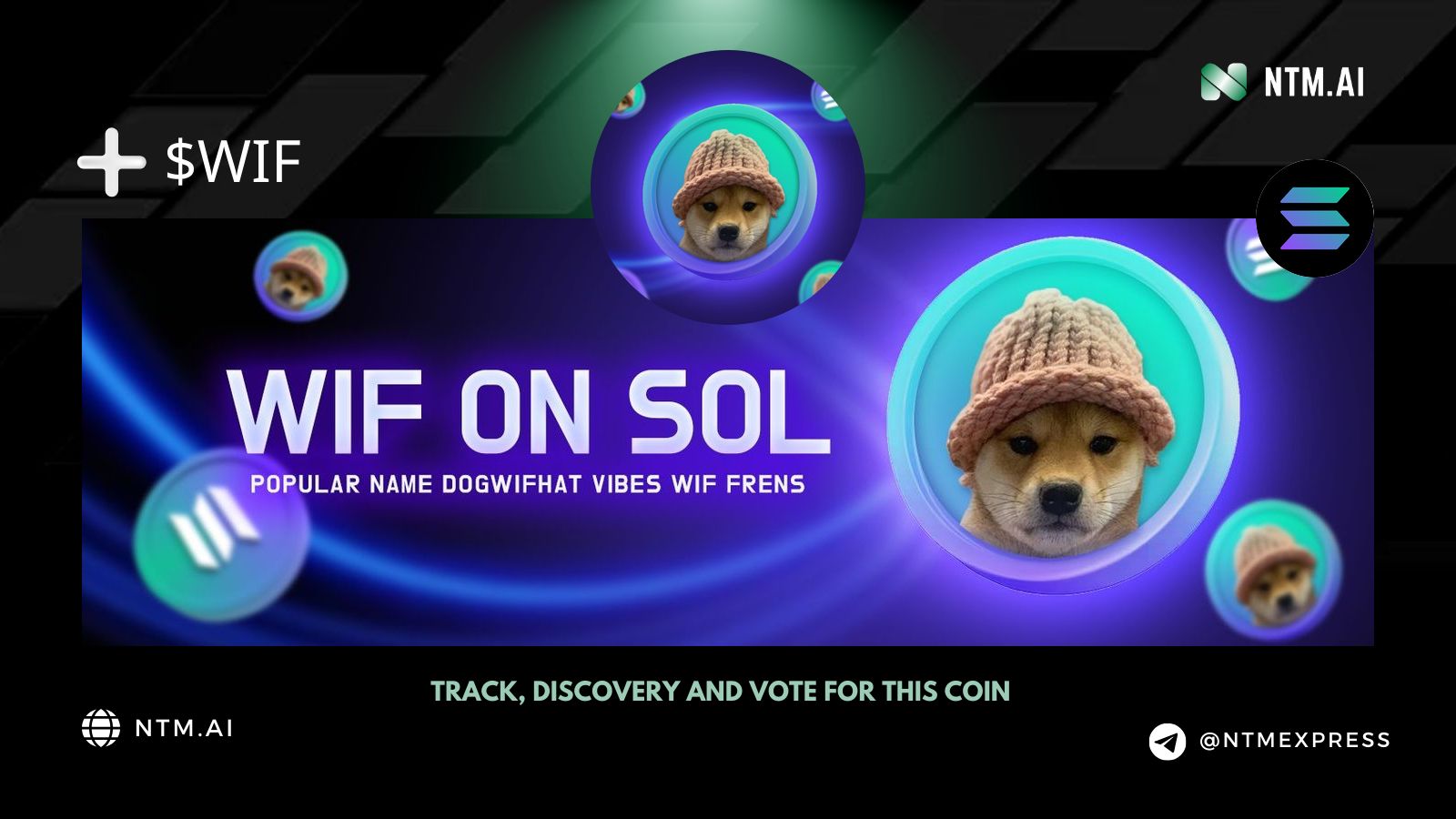 Wif On Sol (WIF) | NTM.ai