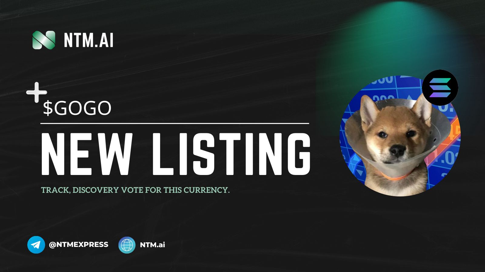 gogowifcone (GOGO) | NTM.ai