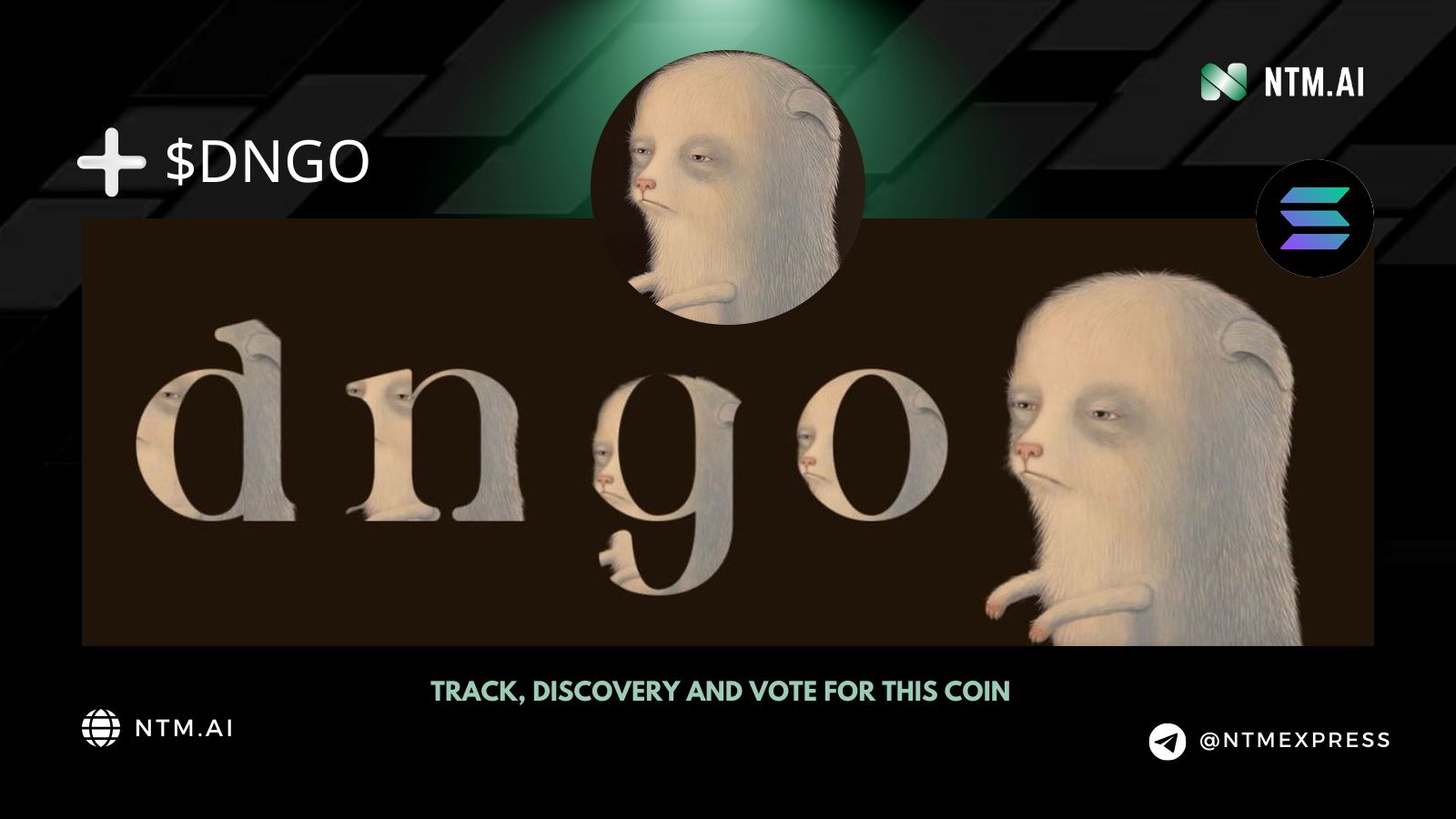 Dngo (DNGO) | NTM.ai