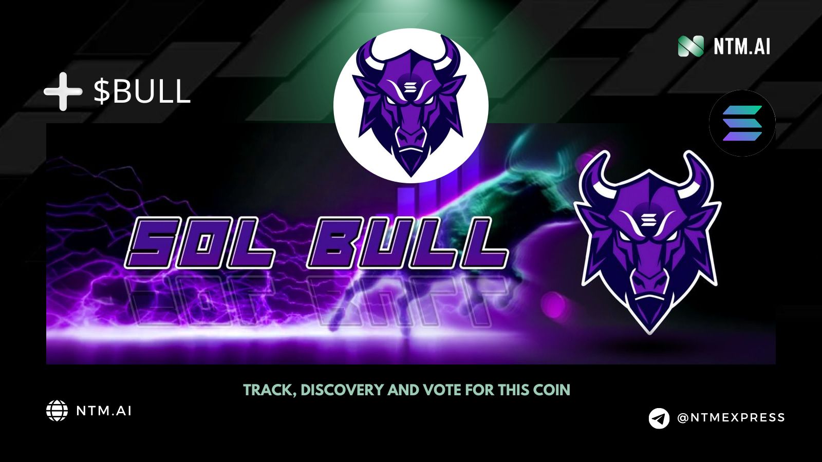 SOL BULL (BULL) | NTM.ai
