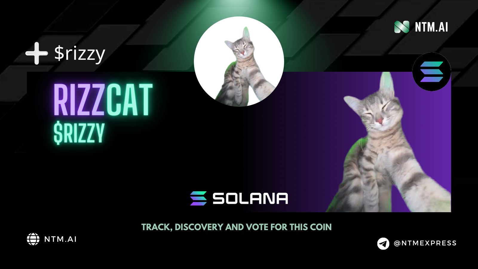 rizzcat (rizzy) | NTM.ai