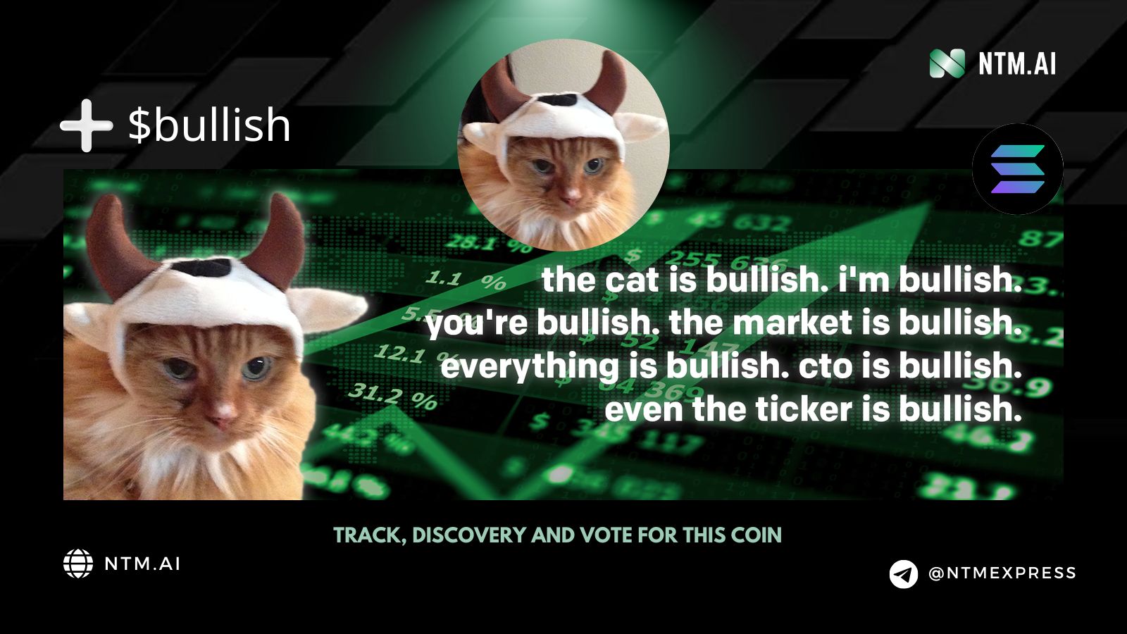 bullish (bullish) | NTM.ai